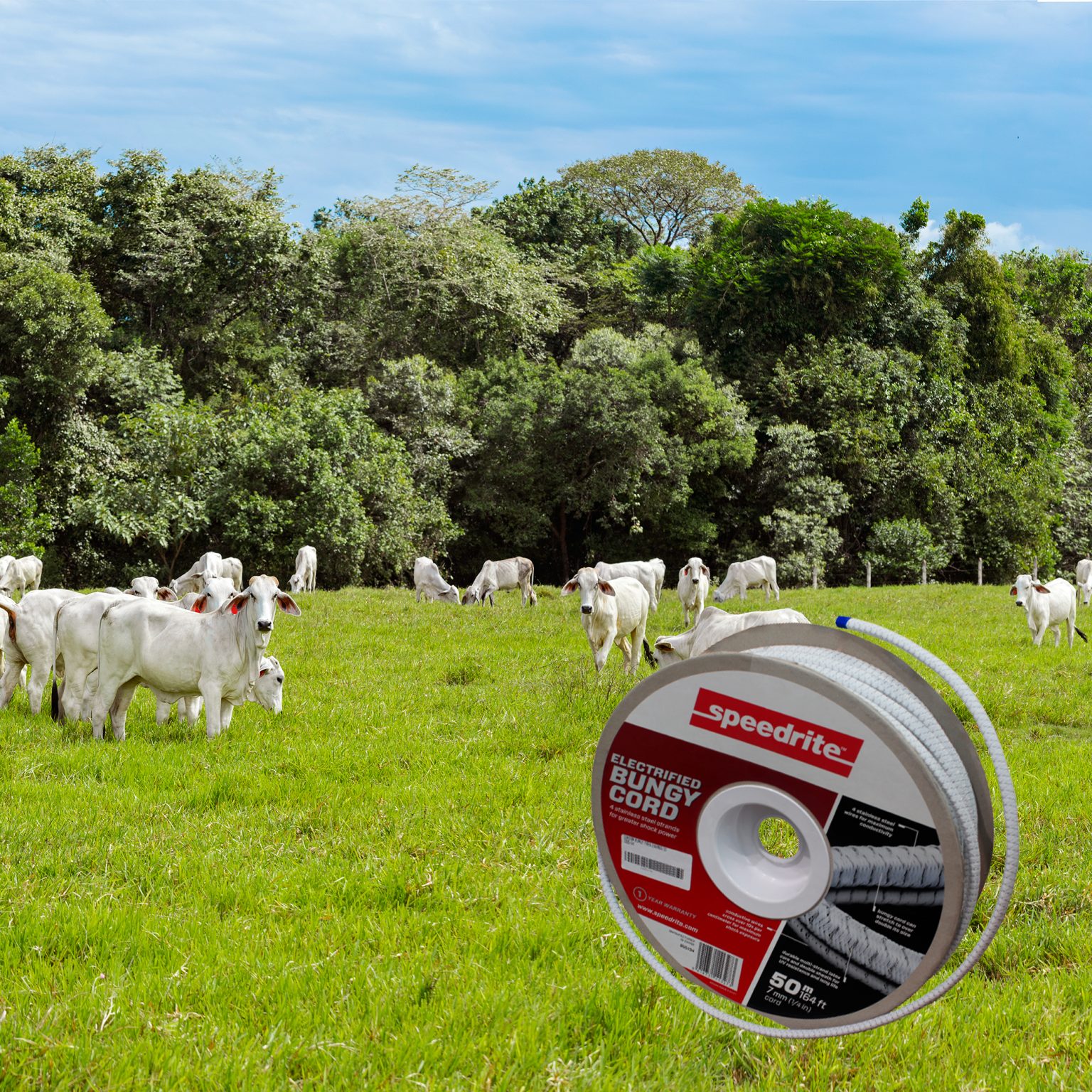 Speedrite Cordón Eléctrico Bungy Para Cercas Eléctricas De 50 Metros ...